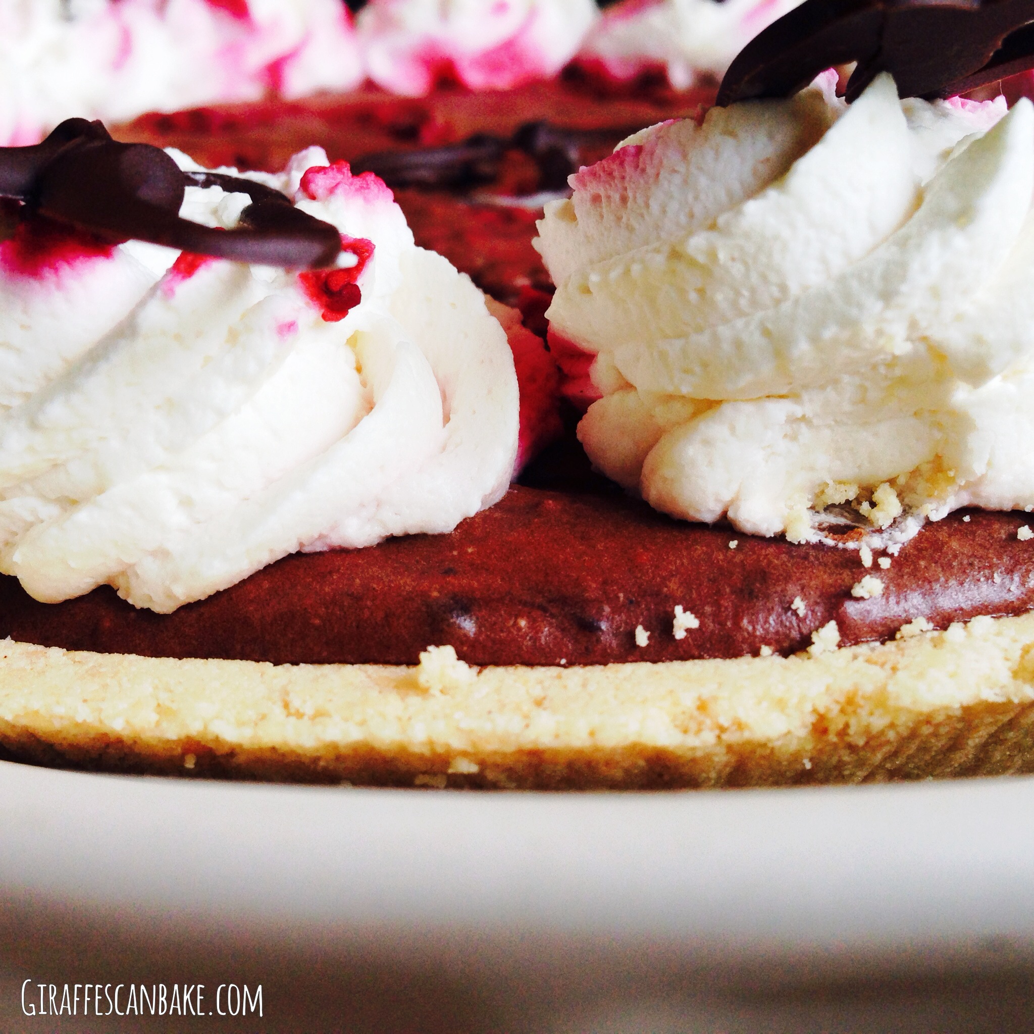 Chocolate and Raspberry Truffle Pie