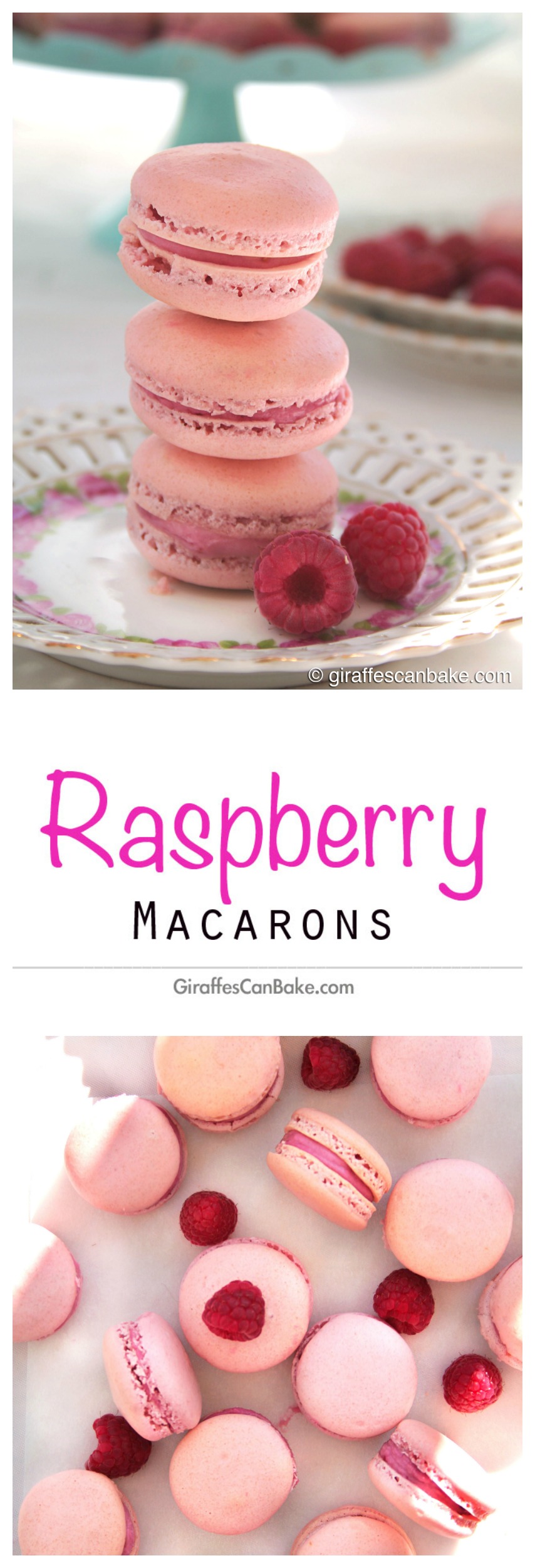 Pin this recipe: