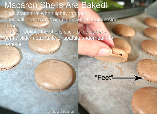 Once they’re cool, your shells are ready to be sandwiched with whatever ...